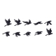 Crow Flying Animation, Vectors | GraphicRiver