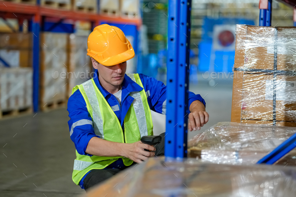 Young warehouse workers working together. Business distribution supply ...