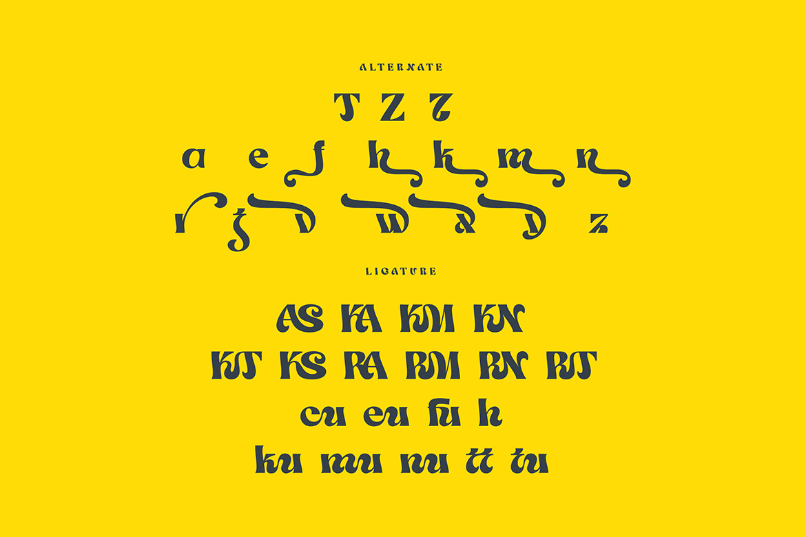 Marietta - Groovy Serif Font, Fonts | GraphicRiver