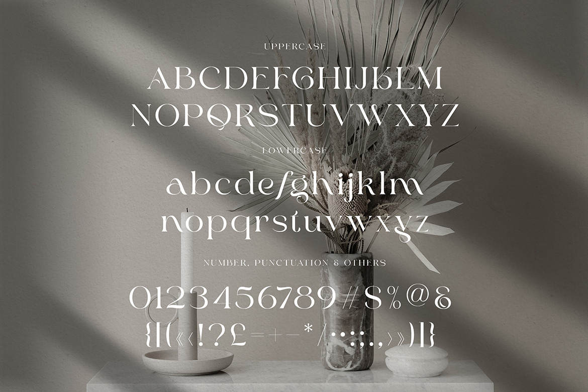 Quick Smart Modern Serif, Fonts | GraphicRiver