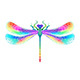 Rainbow symmetrical dragonfly, Graphics | GraphicRiver