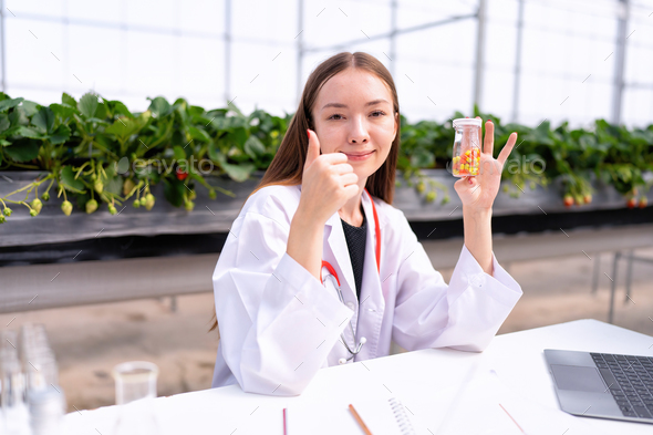Fruit scientist researcher checking quality strawberry plant improve ...