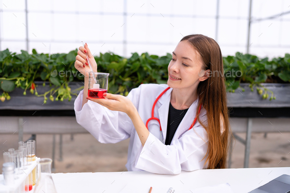 Fruit scientist researcher checking quality strawberry plant improve ...