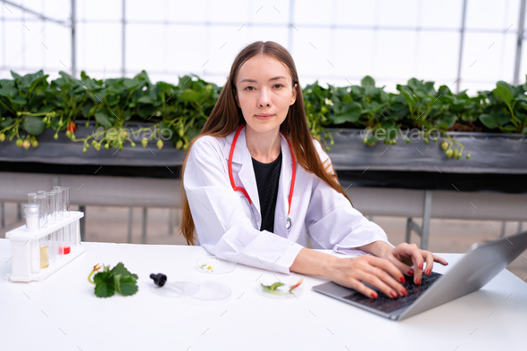 Fruit scientist researcher checking quality strawberry plant improve ...