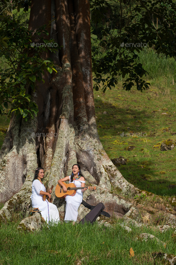 Heritage in Harmony: Modern Indigenous Music with Ancestral Roots Stock ...