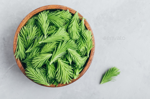 Spruce tips. Fresh green spruce tips in wooden bowl on stone background ...