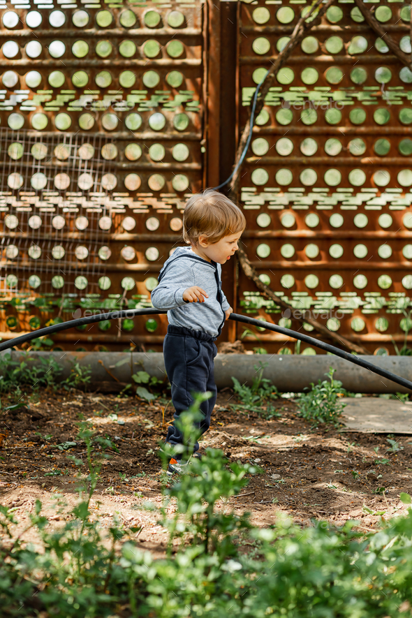 Little boy standing outside. Little boy relax outdoors. Stock Photo by ...