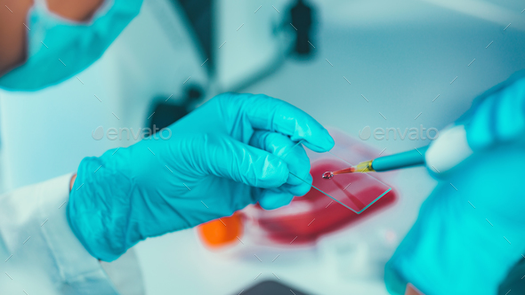 Biotechnology Laboratory Work Stock Photo by microgen | PhotoDune