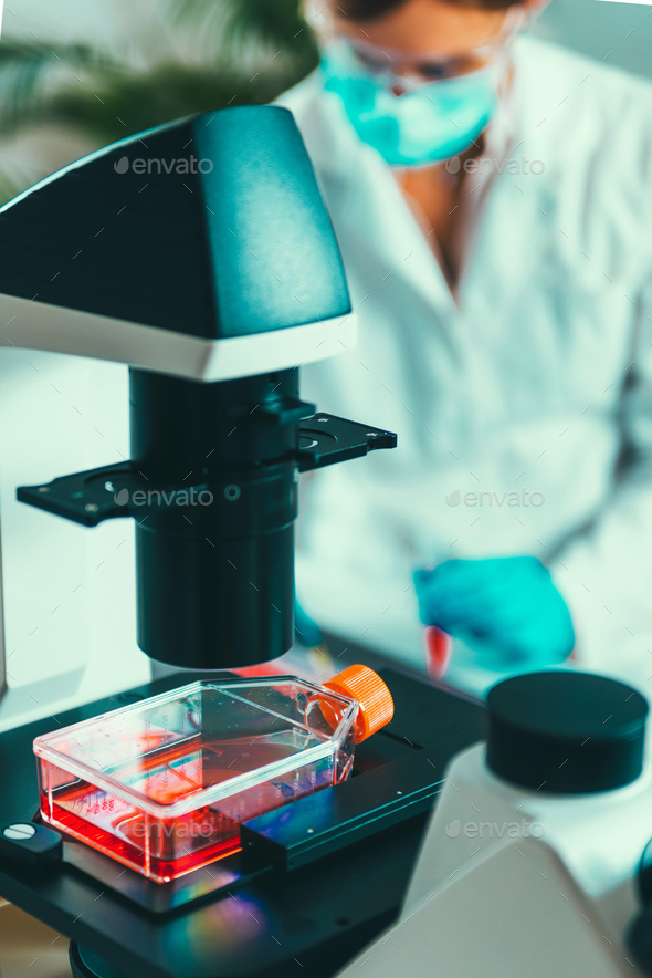 Microbiology laboratory work Stock Photo by microgen | PhotoDune