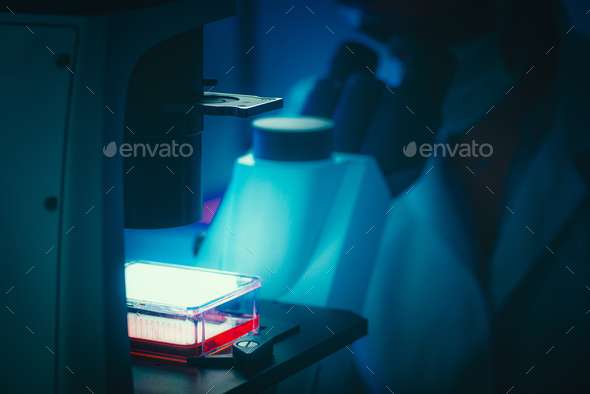 Biotechnology Laboratory Work Stock Photo by microgen | PhotoDune