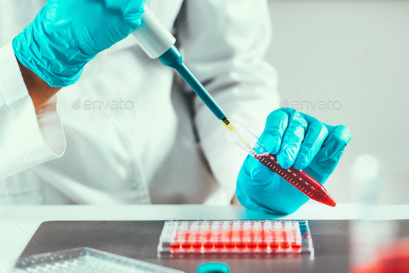 Microbiology laboratory work Stock Photo by microgen | PhotoDune