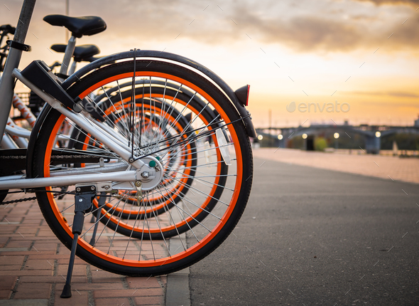 Bike rental on the main street of the city. Bike sharing system. Stock ...
