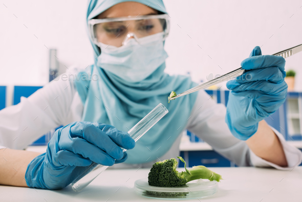 female muslim scientist putting broccoli sample into test tube during ...