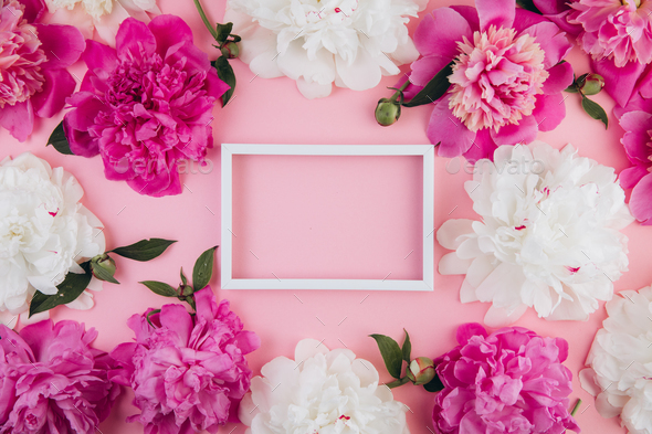 Composition of white and pink peonies and white empty frame with copy ...