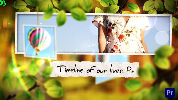 Timeline Of Our Lives: Pr, Premiere Pro Templates | VideoHive