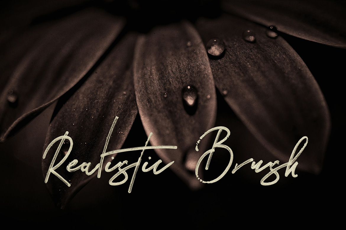 Affect SVG Brush Script, Fonts | GraphicRiver