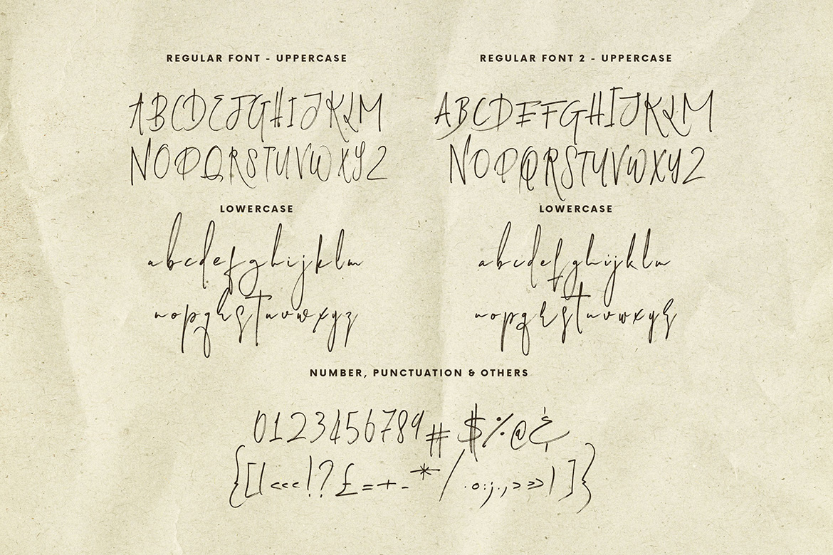 Brooklyn SVG Brush Script, Fonts | GraphicRiver