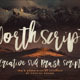 North SVG Bold Brush Script, Fonts | GraphicRiver