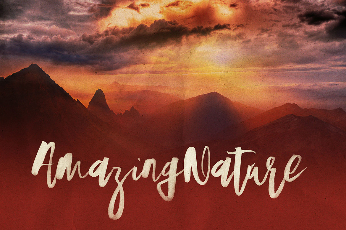 North SVG Bold Brush Script, Fonts | GraphicRiver