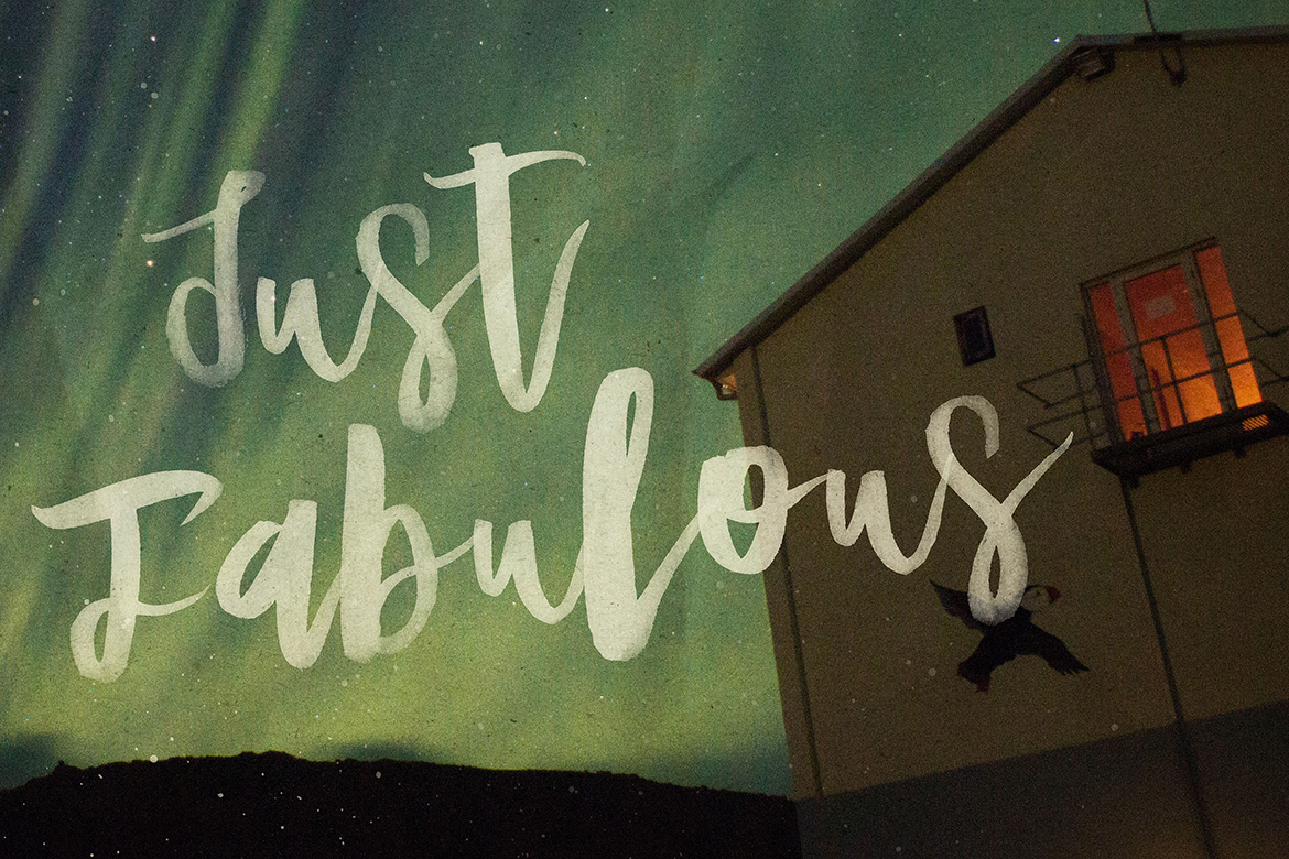 North SVG Bold Brush Script, Fonts | GraphicRiver