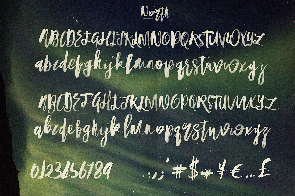 North SVG Bold Brush Script, Fonts | GraphicRiver