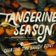 Tangerine Season SVG Brush Font, Fonts | GraphicRiver