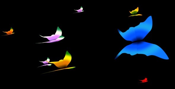 Tropical Butterflies - Loop, Motion Graphics | VideoHive