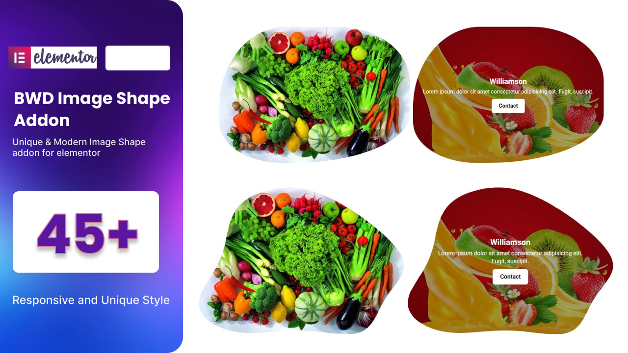 BWD Elementor addons bundle by BestWpDeveloper | CodeCanyon