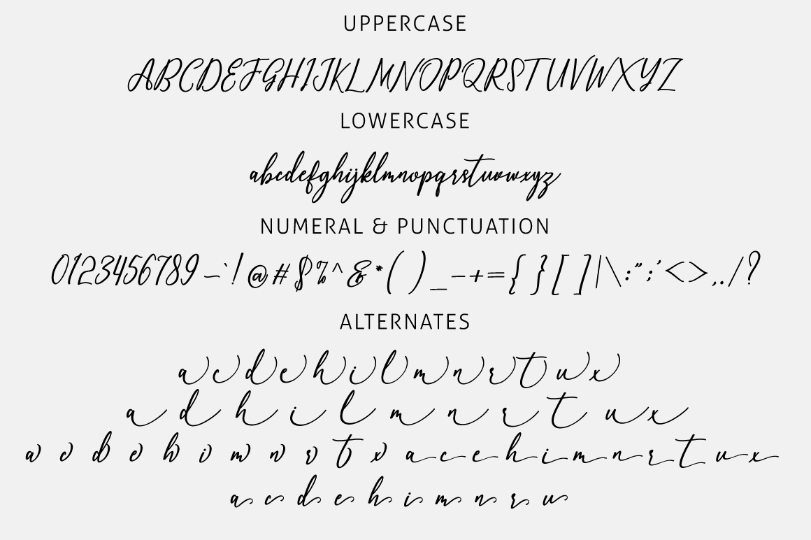 Bigland Script, Fonts | GraphicRiver