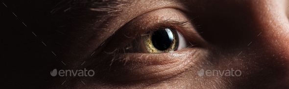 close up view of human eye looking away in dark, panoramic shot Stock ...