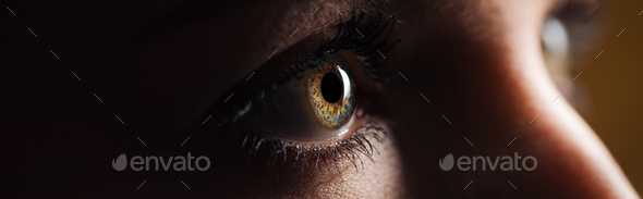 close up view of human brown eye looking away in dark, panoramic shot ...