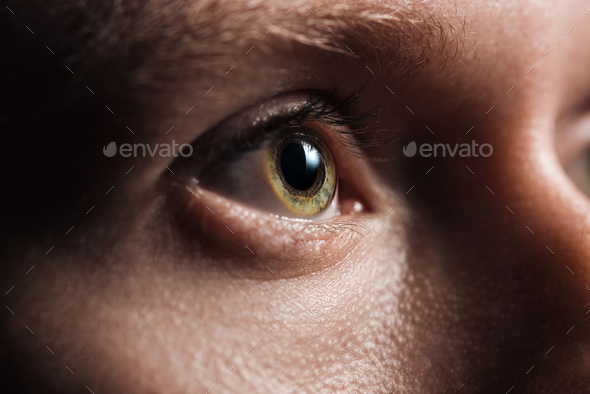 close up view of human eye with eyelashes and eyebrow looking away in ...
