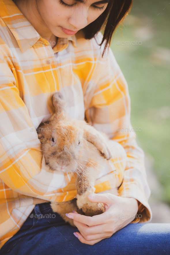 beautiful pretty portrait of young Asian woman person with cute rabbit ...