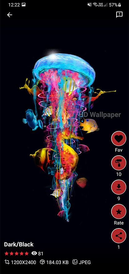 Android HD Wallpaper by nemosofts | CodeCanyon