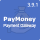 PayMoney - Secure Online Payment Gateway by techvillage1 | CodeCanyon