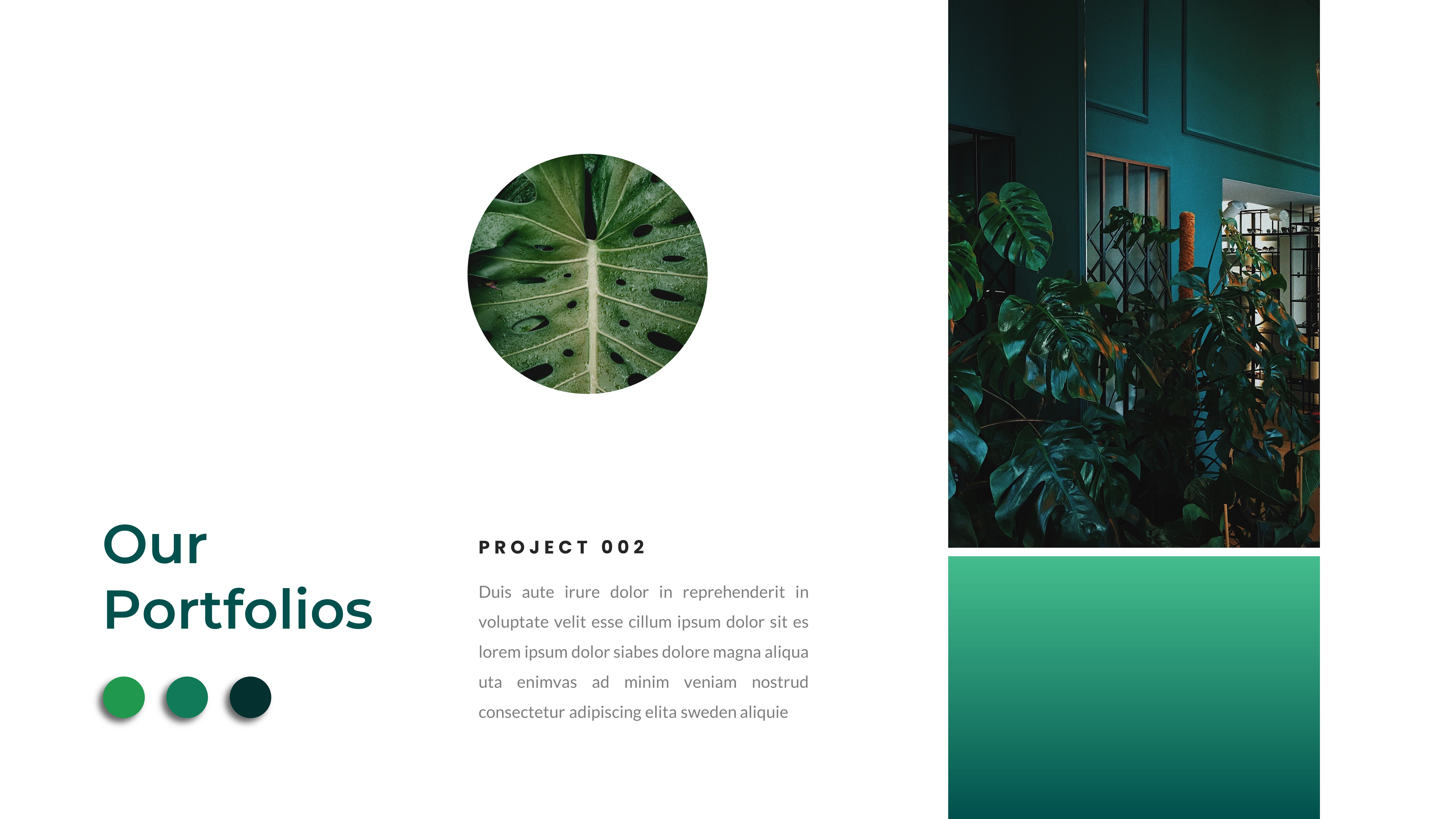Ecco – Creative Business Keynote Template, Presentation Templates ...