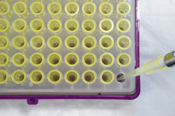 Rack of pipette tips with one tip loaded on a pipette Stock Photo by ...