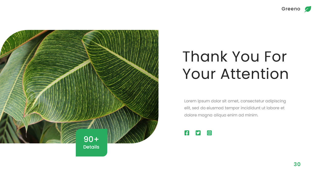 Greeno Nature Google Slides Template, Presentation Templates | GraphicRiver