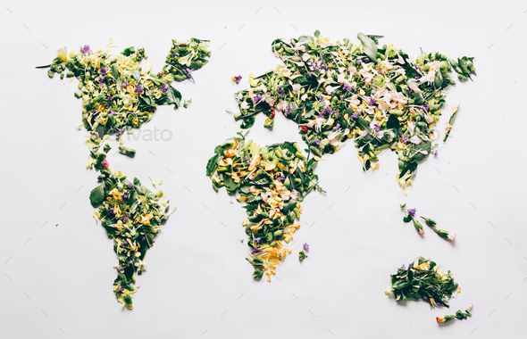 World map made with wild spring flowers petals, leaves and stems on ...