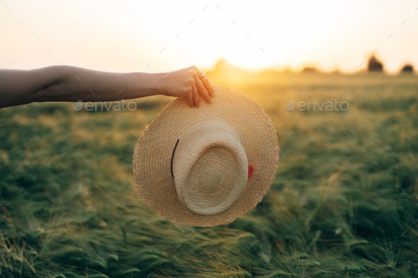 Straw hat in woman hand in sunset light on background of barley field ...