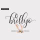 Brillyo, Fonts | GraphicRiver