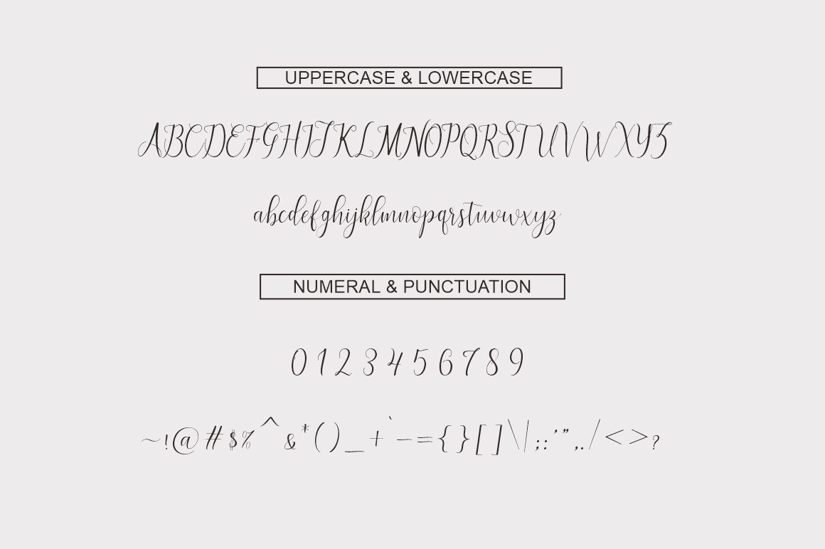 Brillyo, Fonts | GraphicRiver