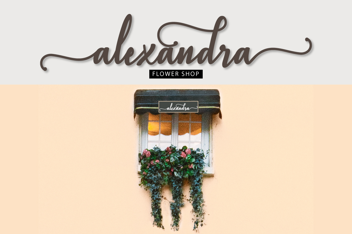 Carmilla Script, Fonts | GraphicRiver