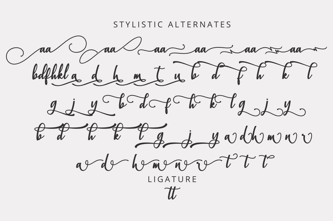 Carmilla Script, Fonts | GraphicRiver