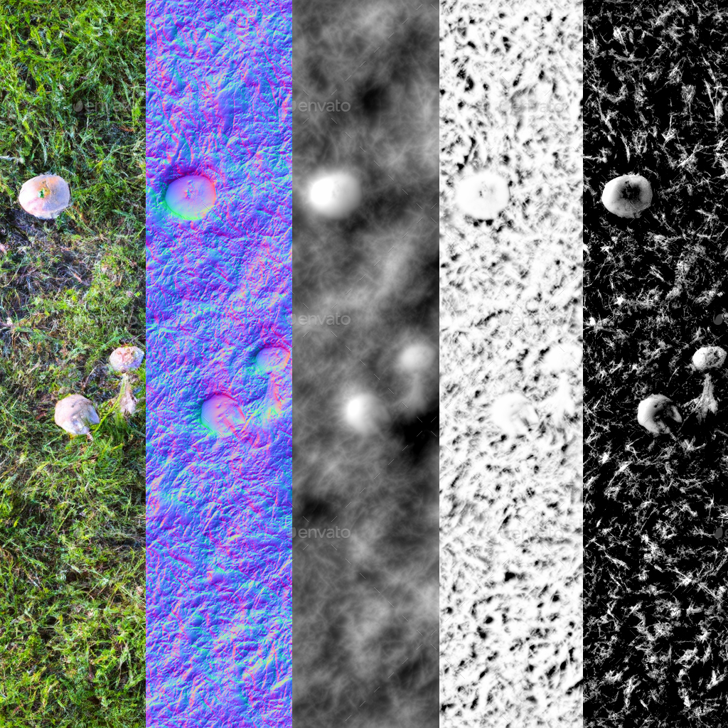 Grass and Mushrooms Seamless Texture by Lucky_Fingers | 3DOcean