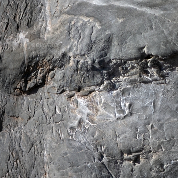 Rough Grey Rock Seamless Texture by Lucky_Fingers | 3DOcean