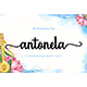 Antonela Script, Fonts | GraphicRiver