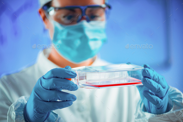 Biology laboratory, scientist working with cell culture Stock Photo by ...