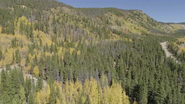 Fall foliage at Boreas Pass, CO, Stock Footage | VideoHive