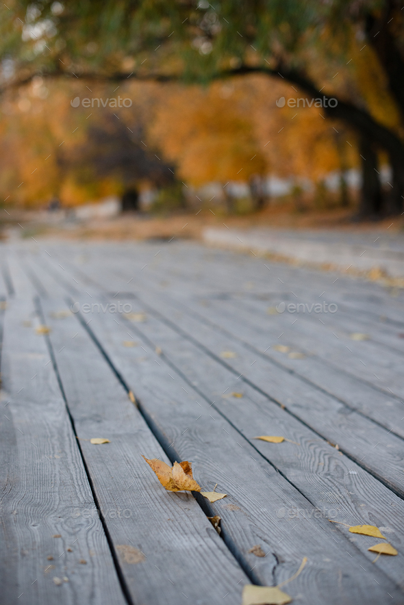 Vertical autumn background,blurry photography with copy space. Stock ...